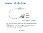 Bard OptiFlo Catheter Solutions | AI Chat & PDF Access | Manualzz