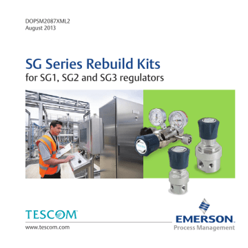 Emerson TESCOM SG1 Serie, TESCOM SG2 Serie, TESCOM SG Serie, TESCOM SG3 ...
