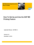 SAPSprint Service User Manual | Manualzz
