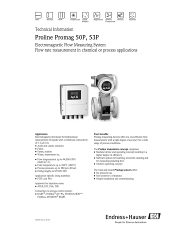 ENDRESS+HAUSER Proline Promag 50P Technical information | Manualzz