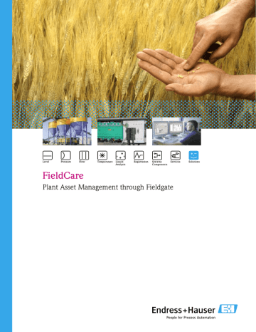 Endress+Hauser Plant Asset Management Fieldgate FXA520, FXA720 Product ...