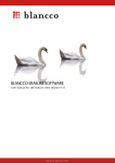 Blancco Drive Eraser 6.1 1.1 User Manual | Manualzz