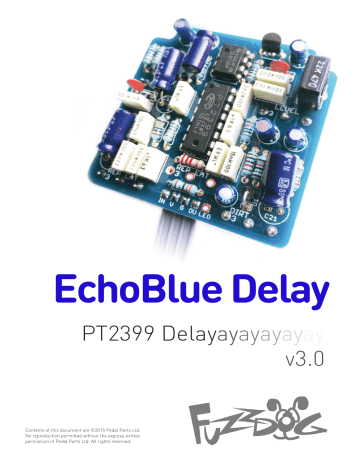 EchoBlue Delay PT2399 Delaya User Manual | Manualzz