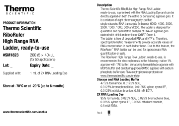 Thermo Fisher Scientific RiboRuler High Range RNA Ladder User Guide ...
