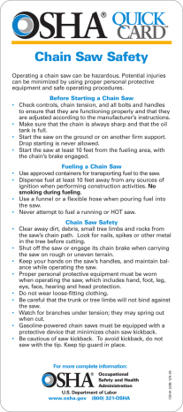 Chain Saw Safety Instruction | Manualzz