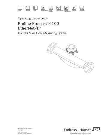 Endres+Hauser Proline Promass F 100 Operating Instruction | Manualzz