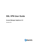Remote Access User Guide | Manualzz