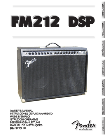 Fender Musical Instrument Amplifier FM 212 DSP, FM 212 DSP, FM212 DSP ...