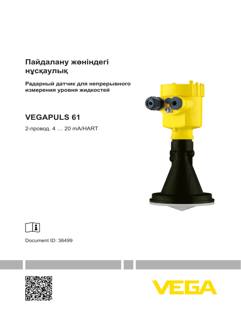 Vega VEGAPULS 61 Operating instructions | Manualzz