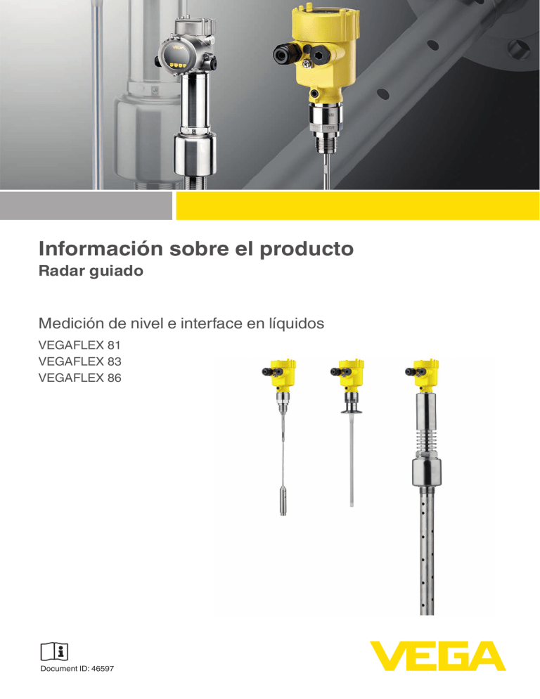 Vega VEGAFLEX 83, VEGAFLEX 86, VEGAFLEX 81 Product information | Manualzz