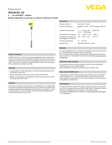 Vega VEGACAL 65 Capacitive cable probe for continuous level measurement ...