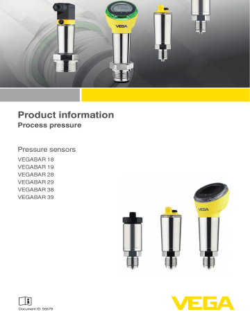 Vega VEGABAR 19 Pressure transmitter Product information | Manualzz