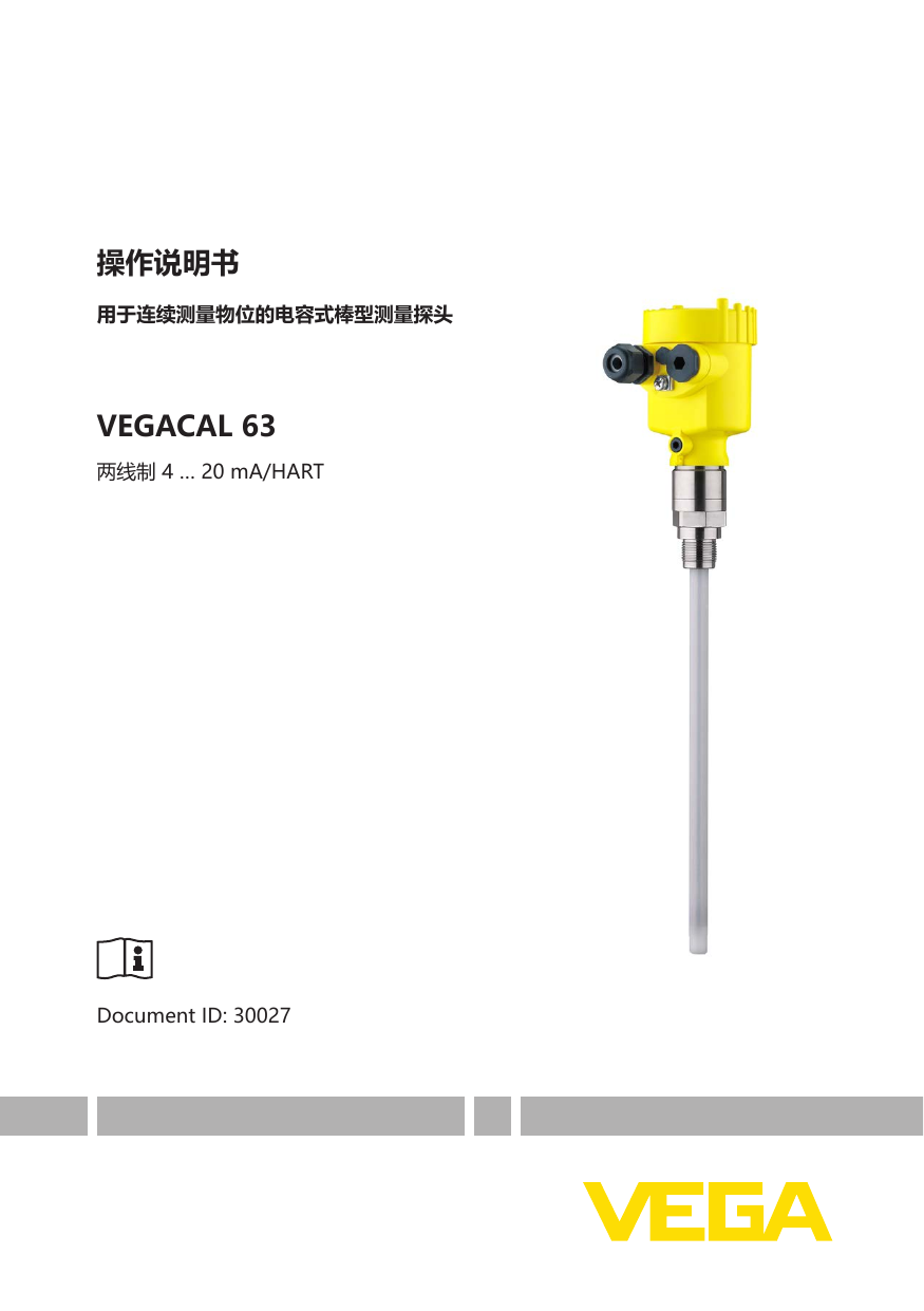 Vega VEGACAL 63 Capacitive rod probe for continuous level measurement 取 ...