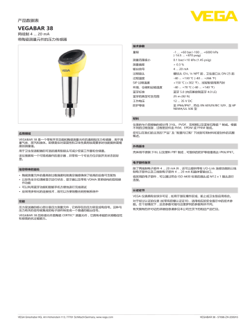 Vega VEGABAR 38 Pressure sensor with switching function 仕様 | Manualzz