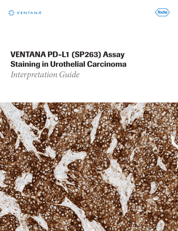 Roche BenchMark GX Interpretation Guide | Manualzz