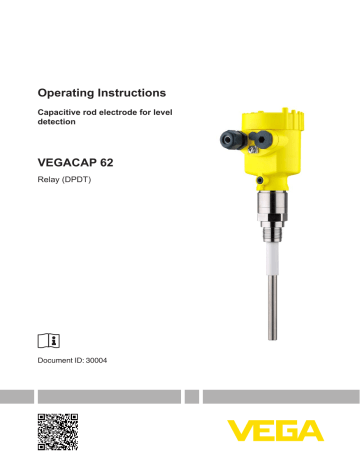 Vega VEGACAP 62 Capacitive rod probe for level detection Operating instructions | Manualzz