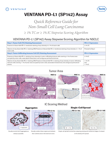 Roche BenchMark GX Interpretation Guide | Manualzz