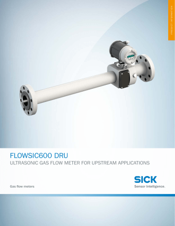 Sick FLOWSIC600 DRU imperial Product information | Manualzz