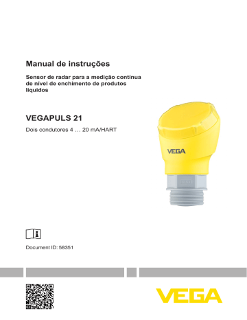 Vega VEGAPULS 21 Compact radar sensor for continuous level measurement ...