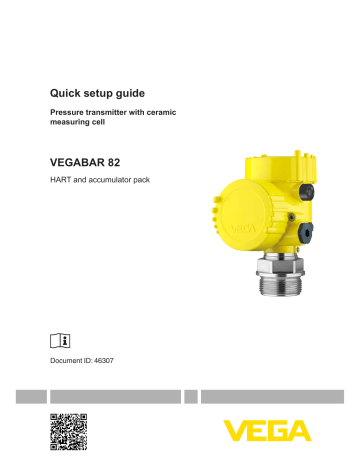 Vega VEGABAR 82 Quick Setup Manual | Manualzz