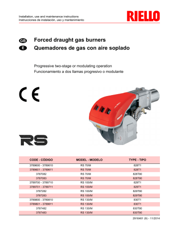 Riello RS 100 Installation, Use And Maintenance Instructions | Manualzz