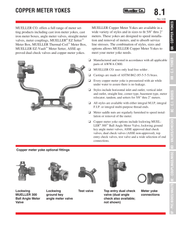 Mueller Company 107B2423--2-01N 2 x 21 in. FIP Copper Meter Setter ...