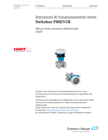 Endres+Hauser Deltabar PMD55B Manuale utente | Manualzz