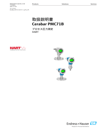 Endres+Hauser Cerabar PMC71B 取扱説明書 | Manualzz
