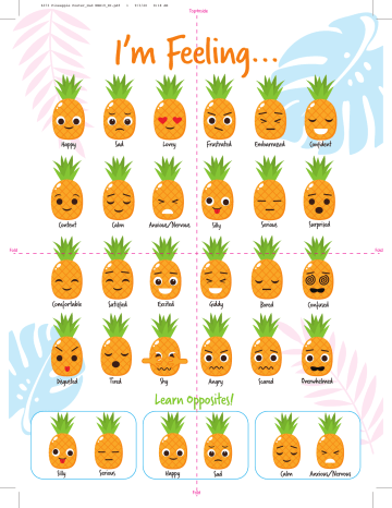 Learning Resources Big Feelings Pineapple™ Guide | Manualzz