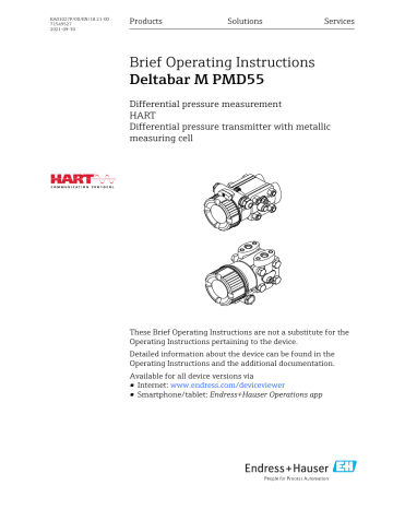 Endres+Hauser Deltabar M PMD55 Short Instruction | Manualzz