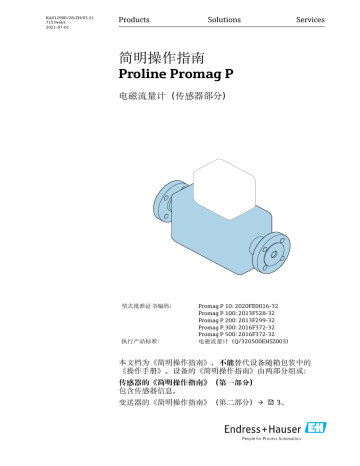 Endres+Hauser Proline Promag P ユーザーマニュアル | Manualzz