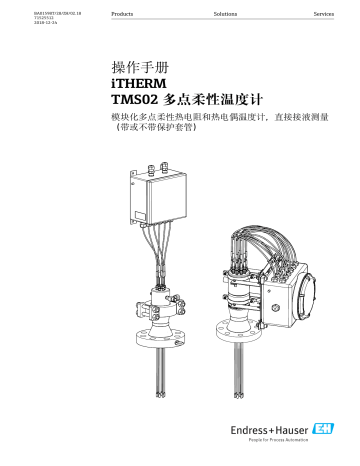 Endres+Hauser iTHERM MultiSens Flex TMS02 取扱説明書 | Manualzz